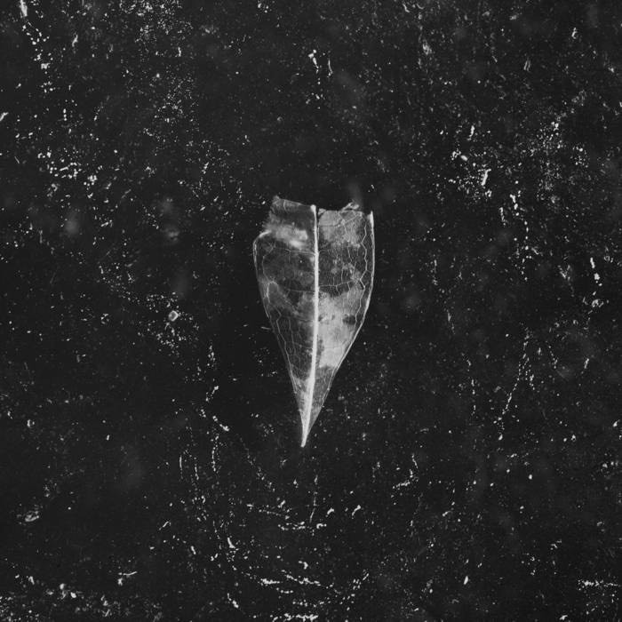 Bees Made Honey In The Vein Tree – Aion